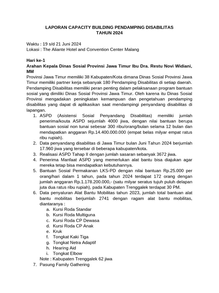 Laporan Capacity Building Pendamping Disabilitas | PDF