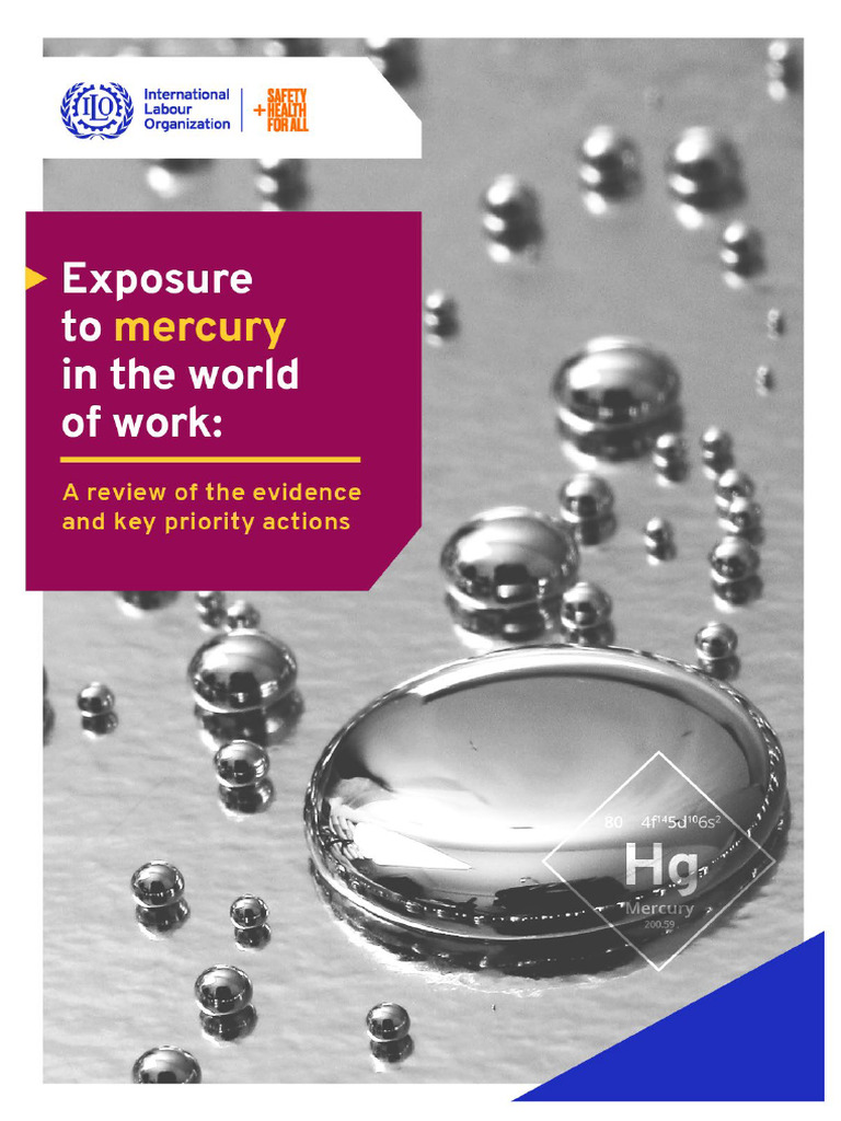 Mercury Exposure in the Workplace: Key Actions | PDF | Mercury (Element ...