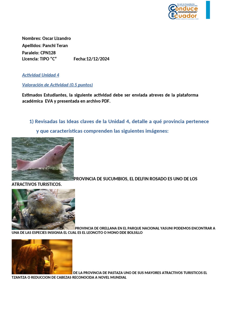 Actividades de La UNIDAD 4 GE | PDF