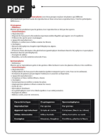 Le Carpelle : Organe des Angiospermes | PDF | Fruit | Embryon