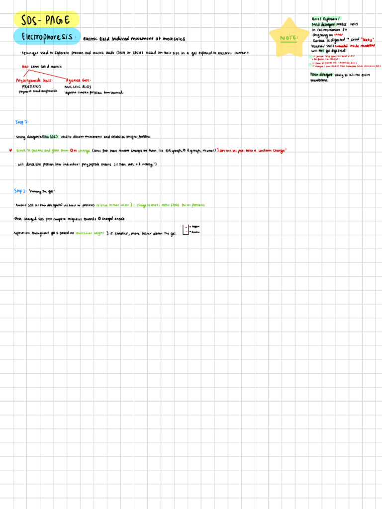 pre reading | PDF | Gel Electrophoresis | Polyacrylamide Gel ...