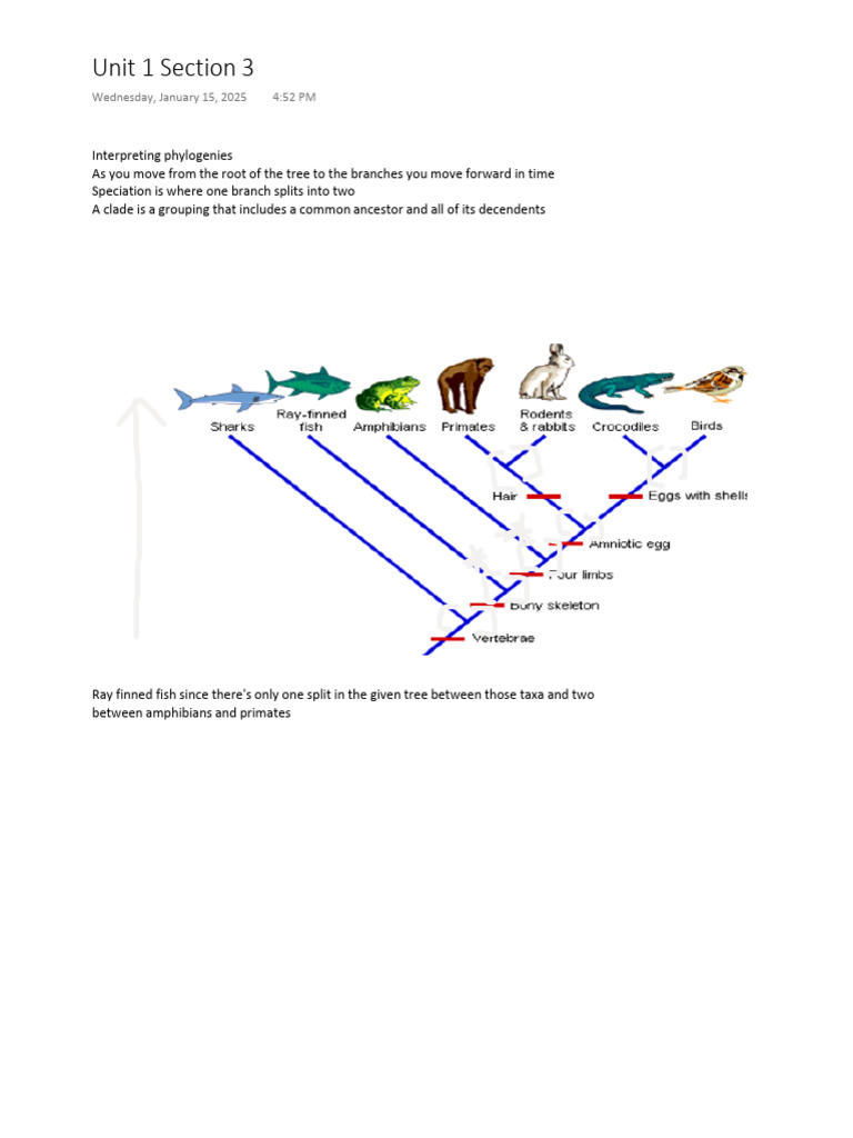 Unit 1 Section 3 | PDF