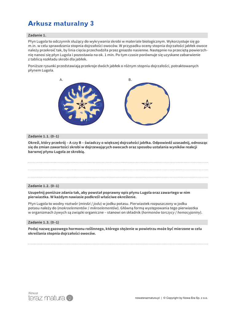 Arkusz Maturalny 3 | PDF