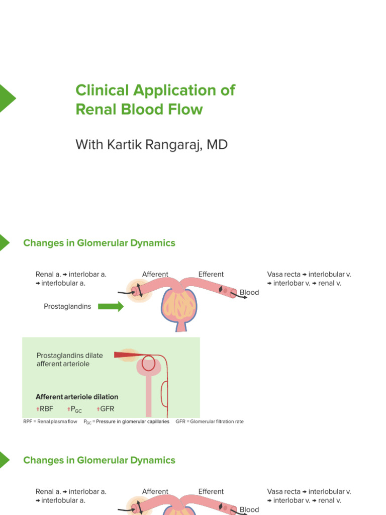 Renal Pathology | PDF