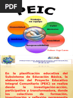 Orientaciones Peic | PDF | Pedagogía | Maestros