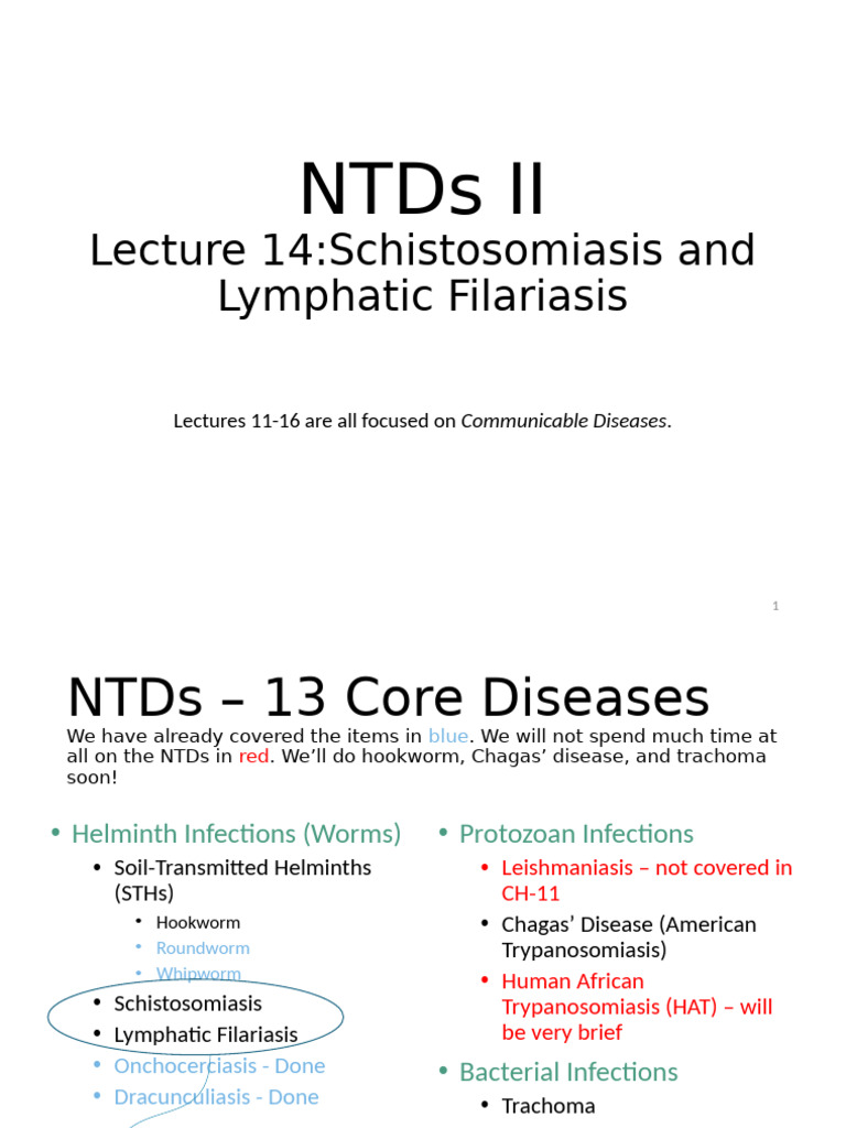 Lecture 14 - Schisto & LF | PDF | Parasitology | Medical Specialties