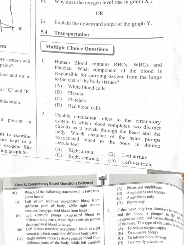 WhatsApp Scan 2025-01-14 at 15.17.45 | PDF