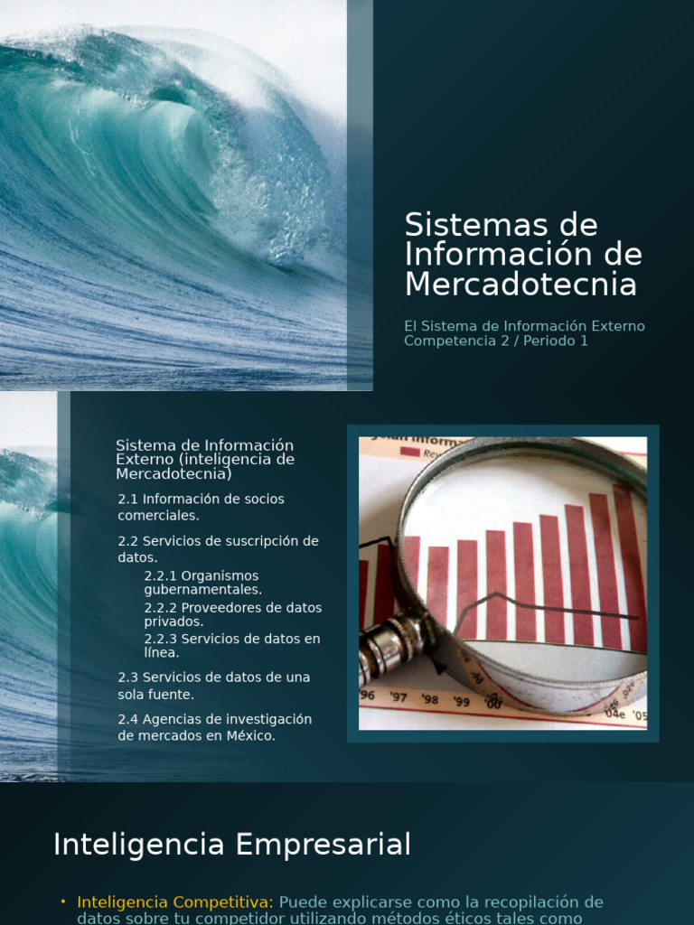 Sistemas de Información de Mercadotecnia | PDF | Marketing ...