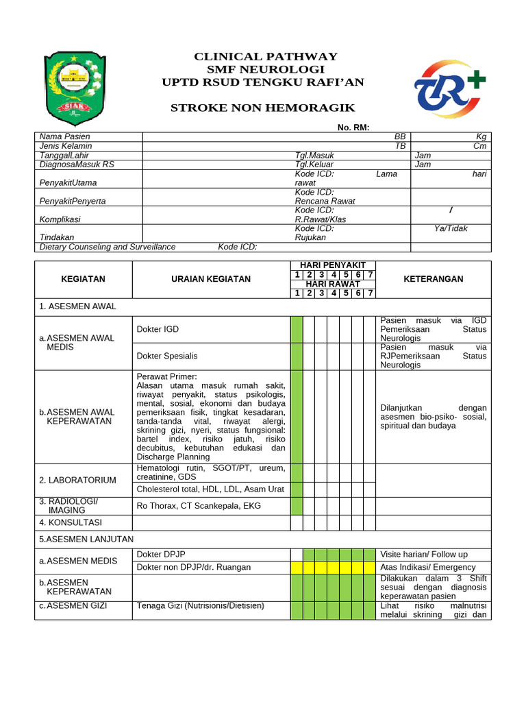 Clinical Pathways SNH | PDF