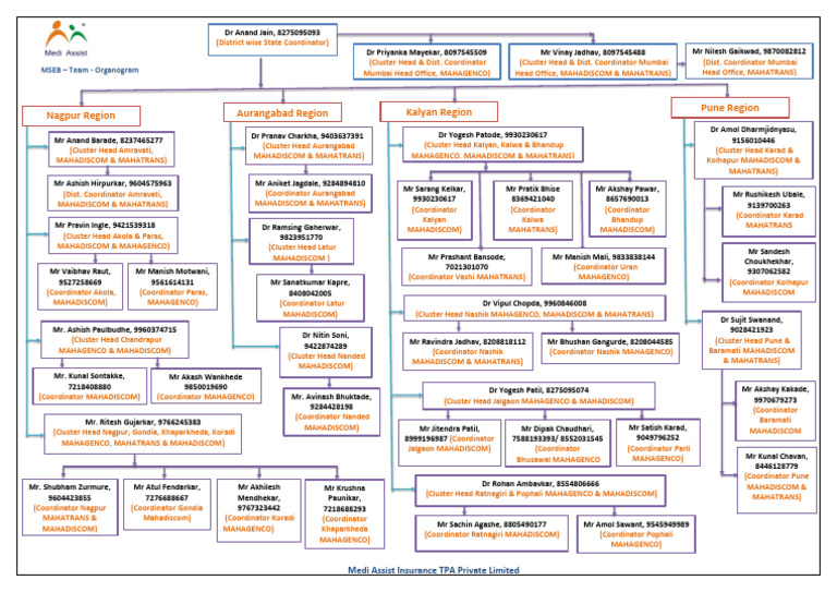 Medi Assist MSEB Organogram | PDF | Electric Power Distribution ...
