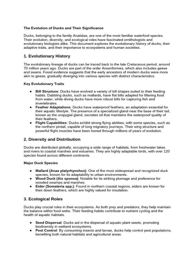 The Evolution of Ducks and Their Significance | PDF | Duck ...