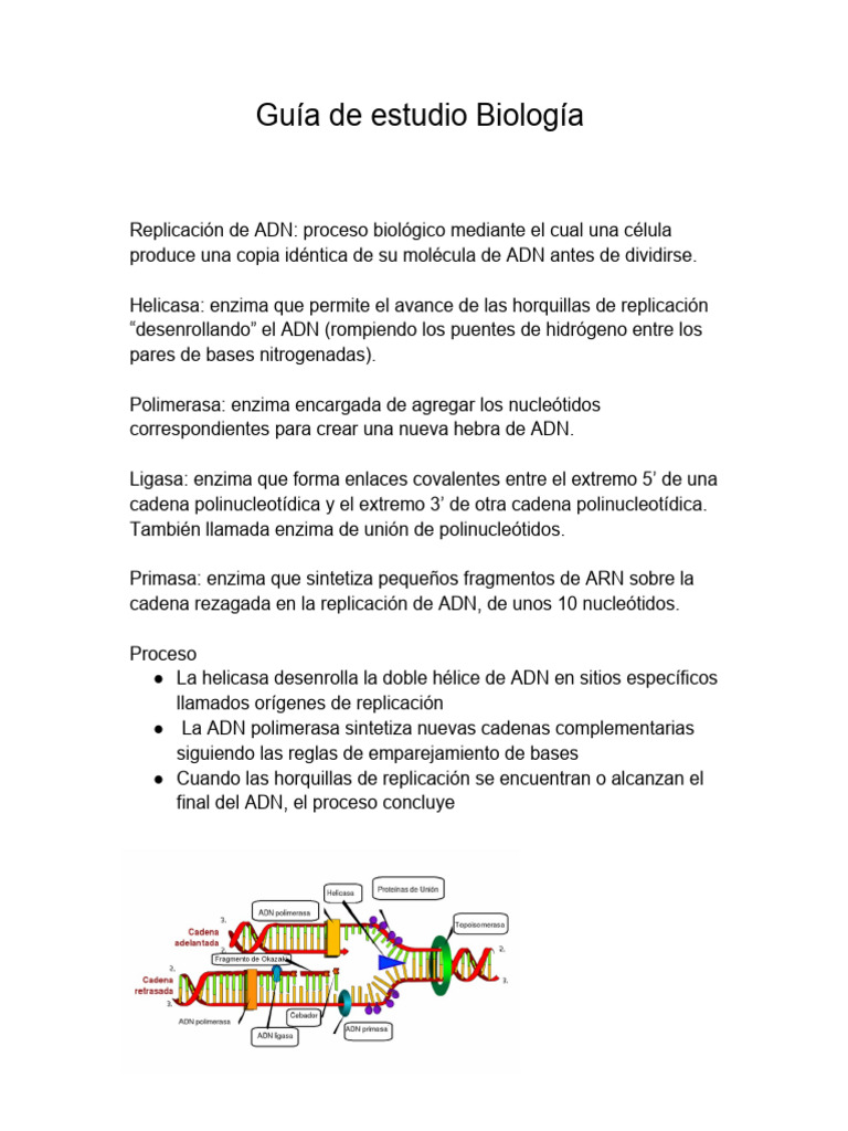 Documento Sin Título PDF | PDF | Codigo genetico | Adn