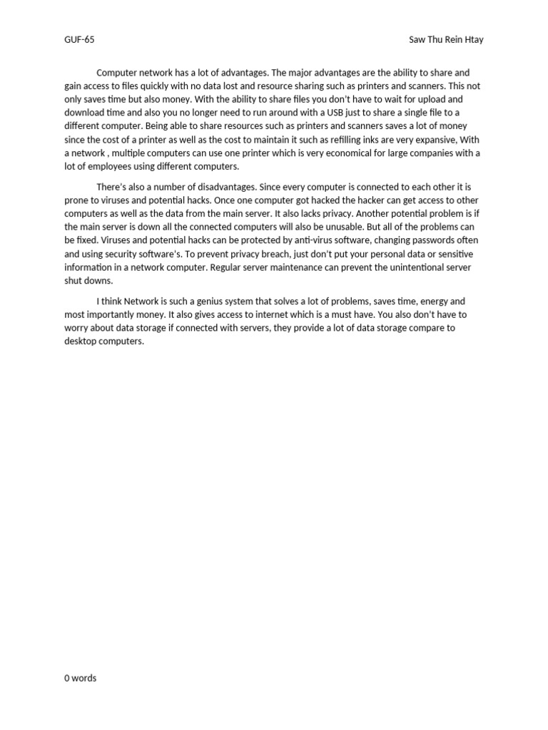 Computer Network Essay | PDF