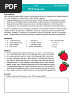Practical Test Report SB015 | PDF | Dna | Molecular Biophysics