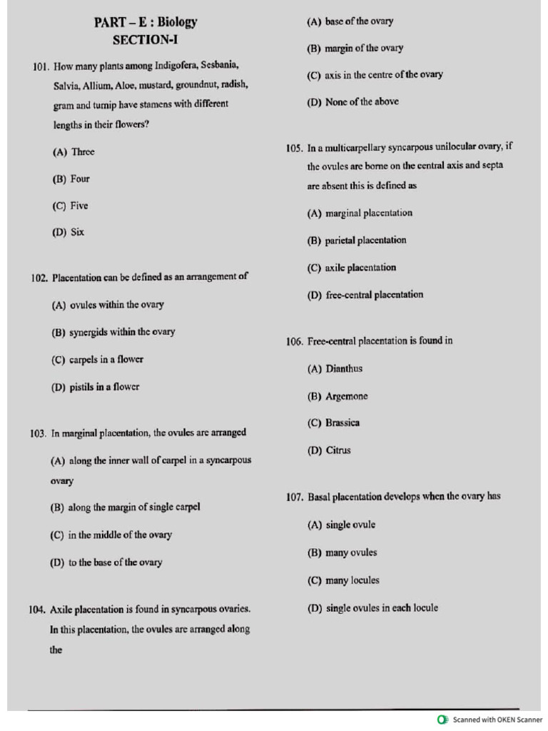 Test No 06 Morphology | PDF
