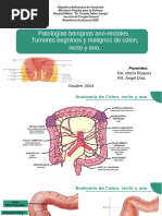 El Paciente Con Proctorragia Como Abordarlo | PDF | Hemorroides ...
