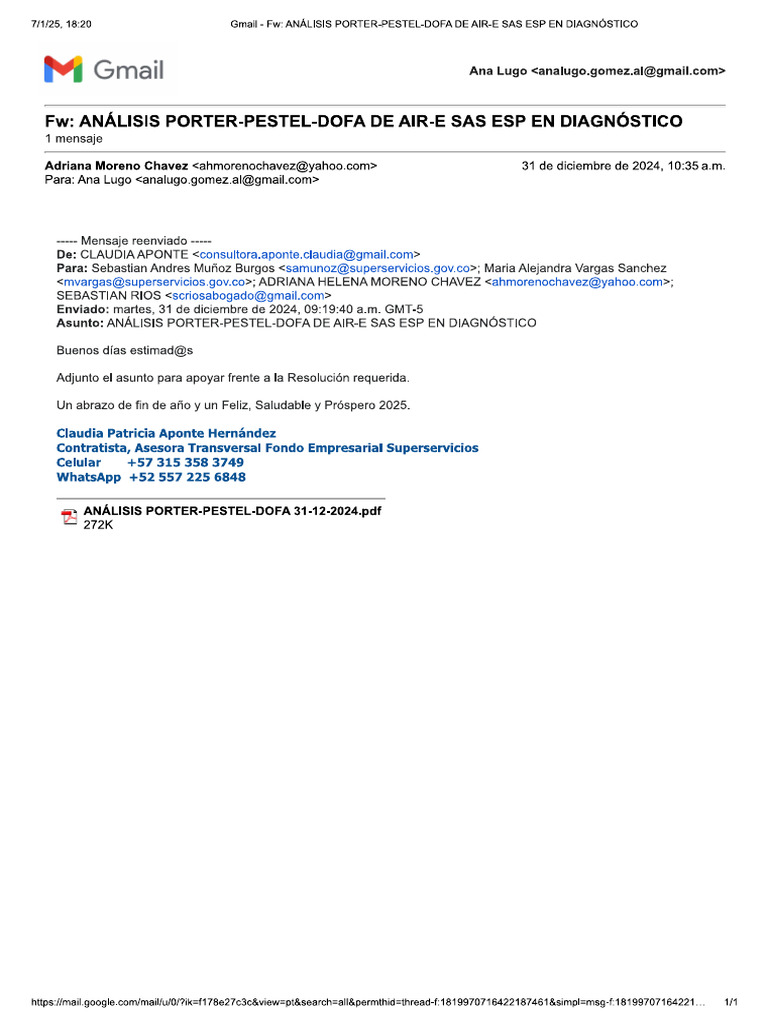 31.12.2024. Correo Analisis Porter - PEstel DOFA | PDF