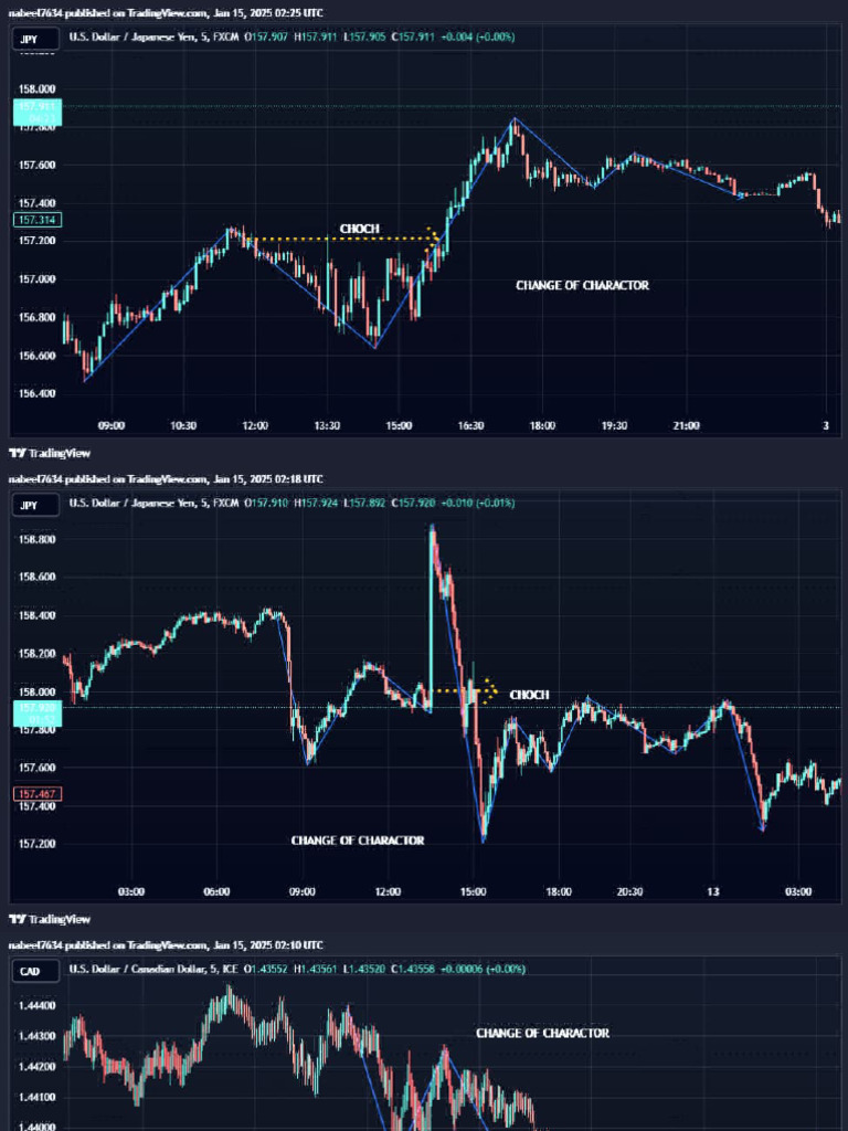 Nabeel Muhammed s. Adobe Scan 15 Jan 2025 (1) | PDF