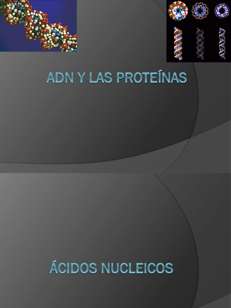 ADN Y PROTEINAS (1) | PDF | Rna | Adn