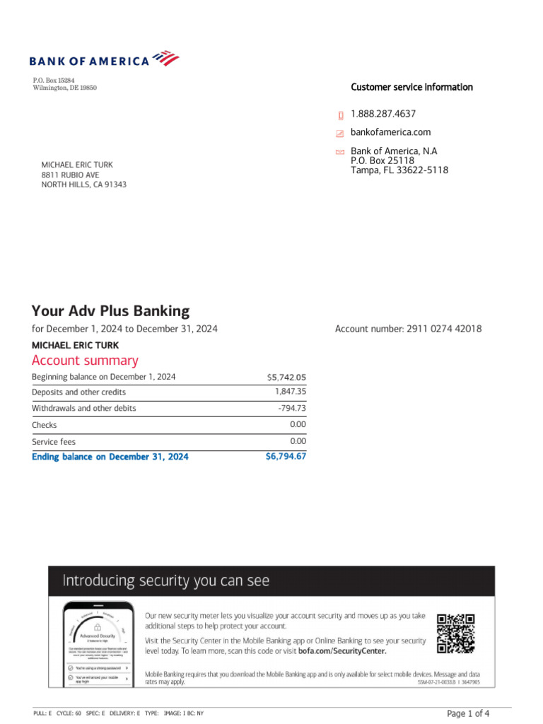 Michael Eric Turk 2911027442018 | PDF | Overdraft | Banks