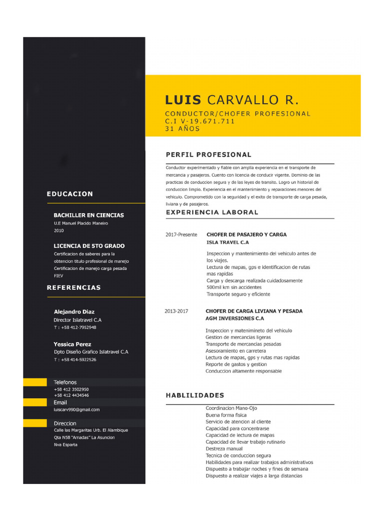 Curriculum Luis Carvallo | PDF