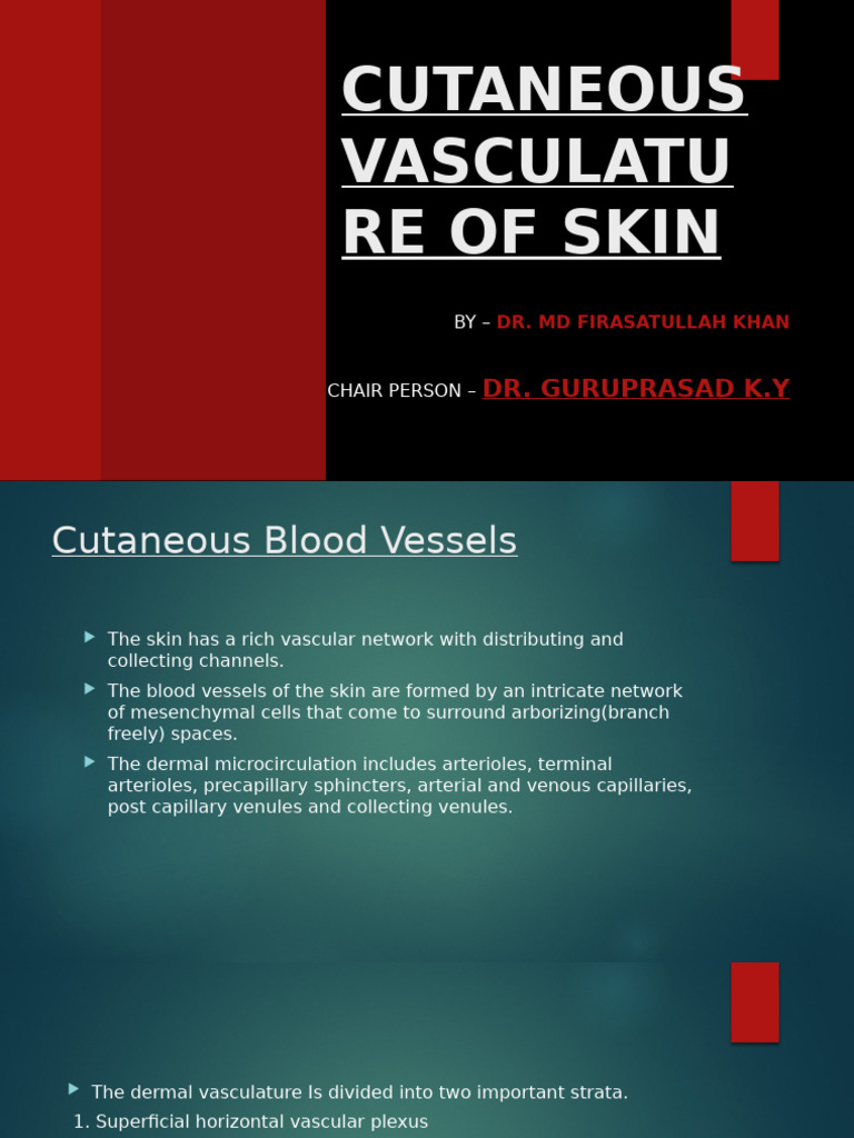 Cutaneous Vascular and Lymphatic Structure | PDF | Blood Vessel | Vein