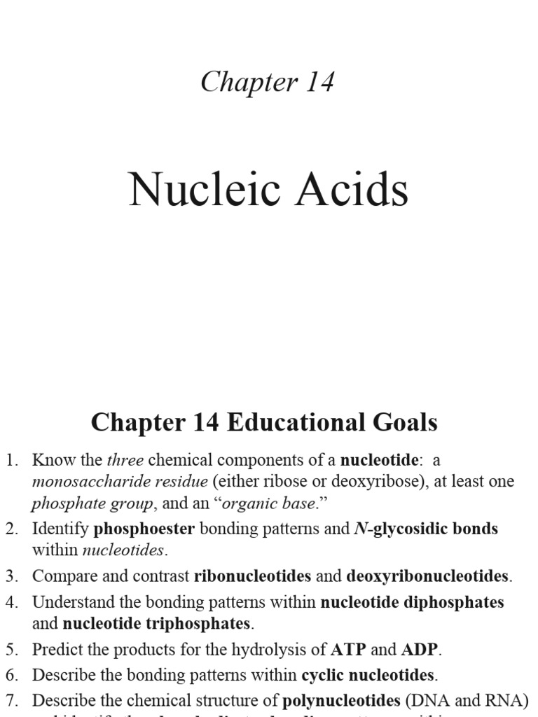 Lecture14 Nucleic Acids PPT | PDF | Operon | Translation (Biology)