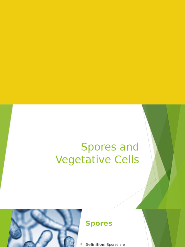 Spores and Vegetative Cells | PDF | Mycotoxin | Fungus