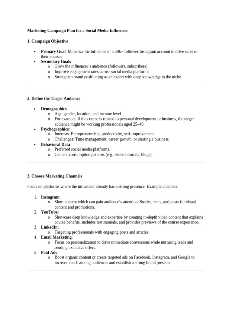 Marketing Campaign Plan For A Social Media Influencer | PDF | Popular ...