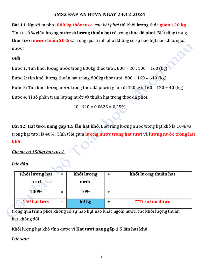 5MS2 Đáp Án BTVN Ngày 24.12.2024 | PDF