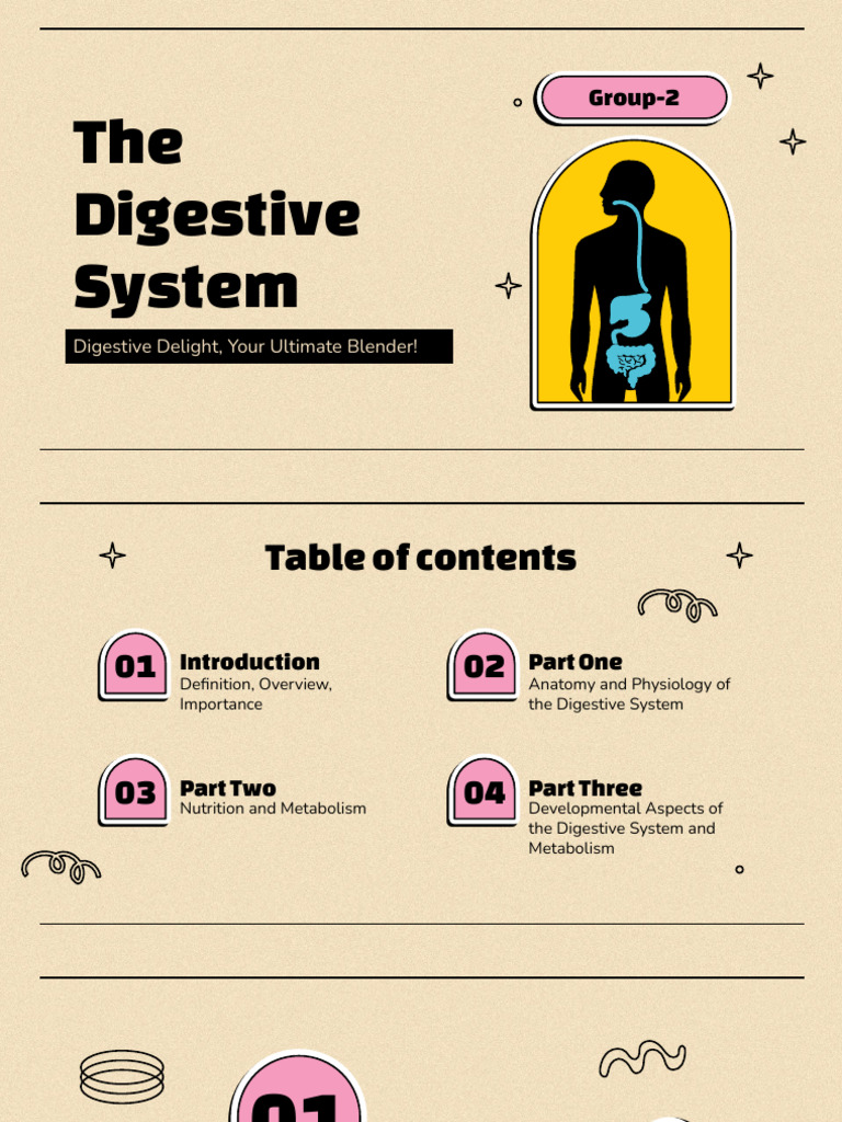 Digestive System Overview and Functions | PDF | Stomach | Human ...