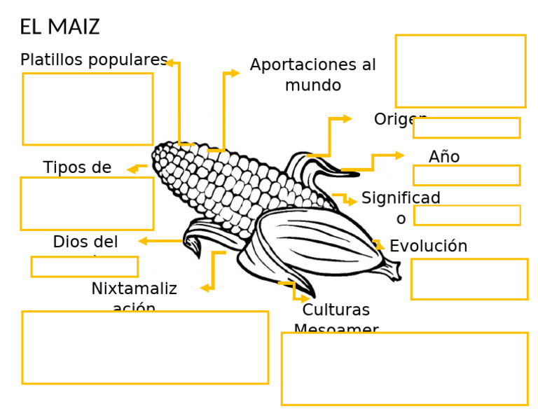 Esquema Historia Del Maiz | PDF