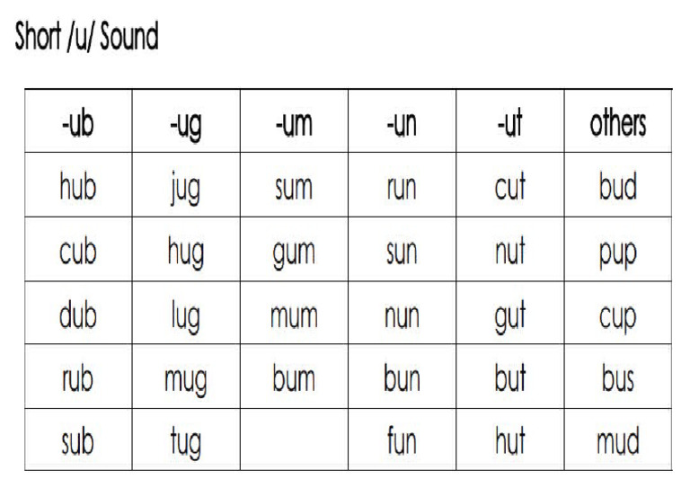 CVC Pattern With Short A, E, I, O, U Sound | PDF