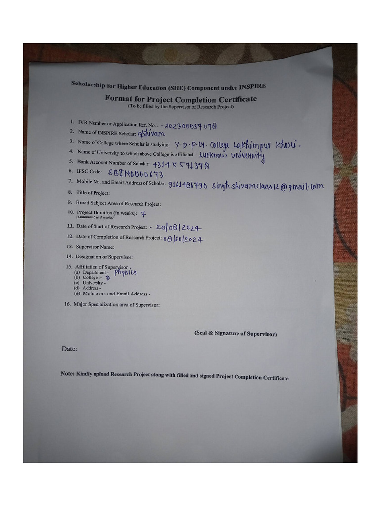 Mentorship Project 1 Year Inspire | PDF