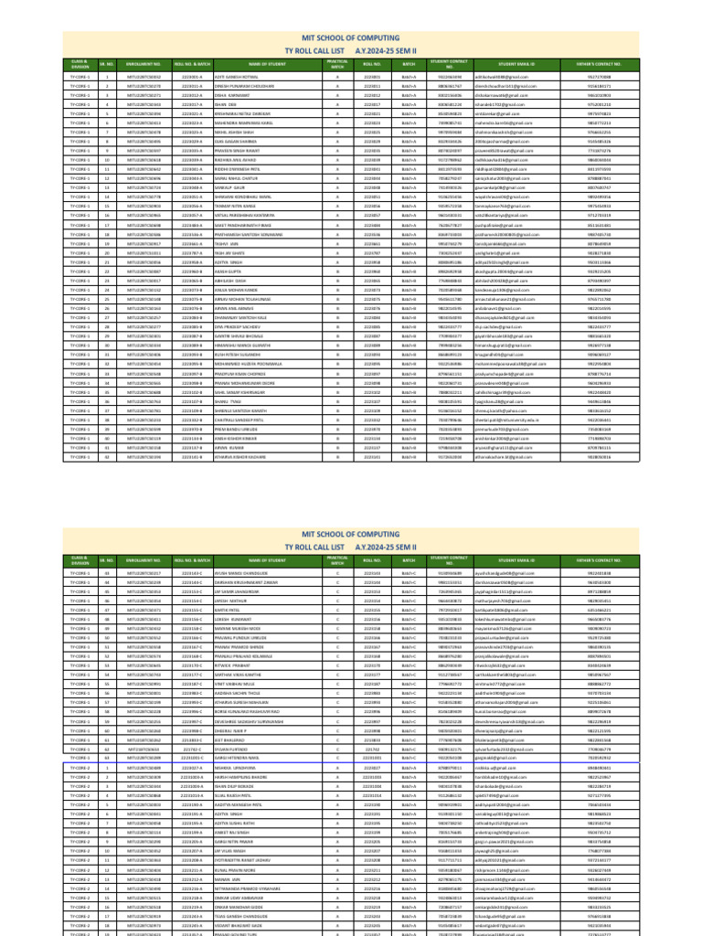 Ty Roll Call List A.Y. 2024-25 Sem II | PDF