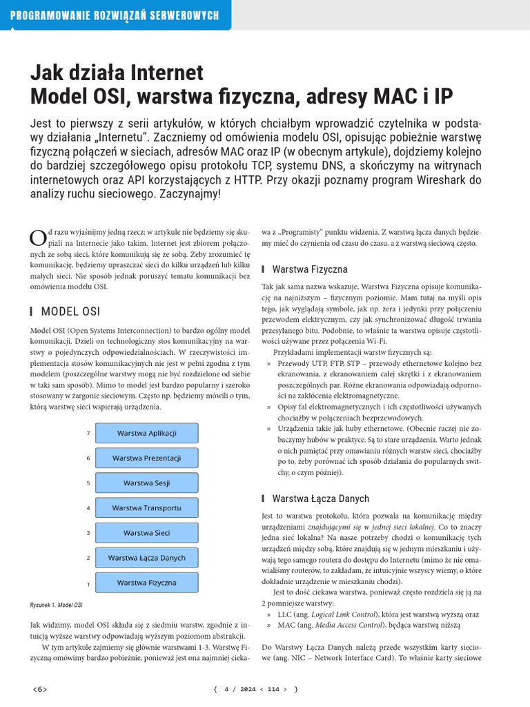 Programista 114 Jak Dziala Internet | PDF