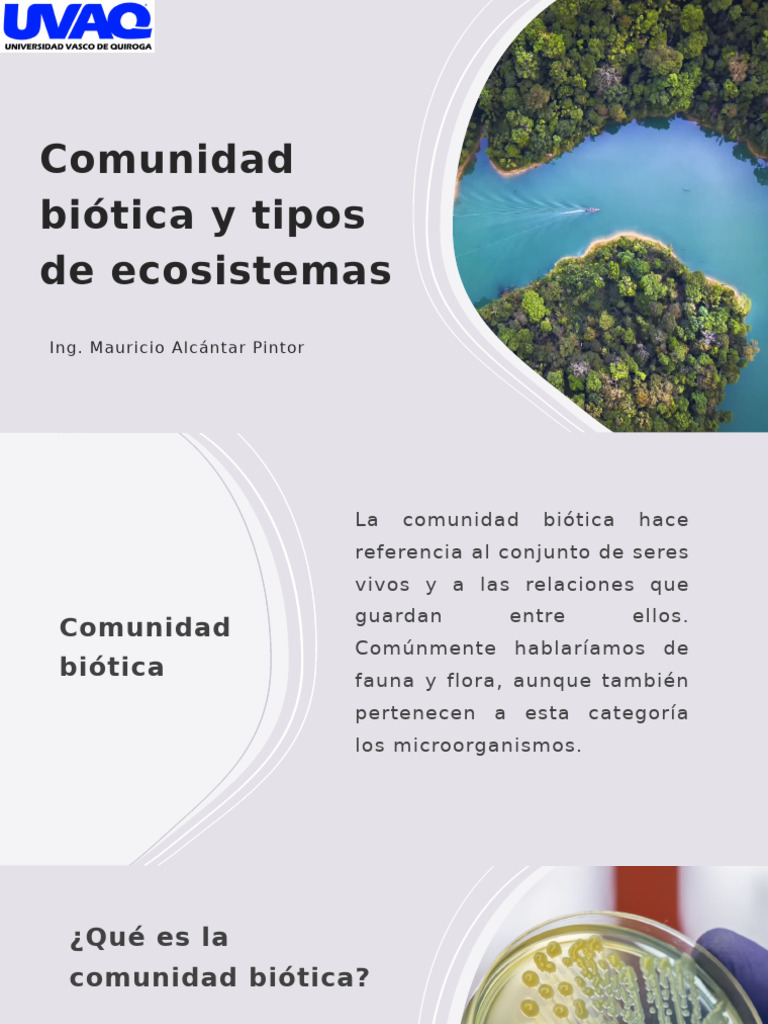 Tipos de ecosistemas | PDF | Desierto | Sabana