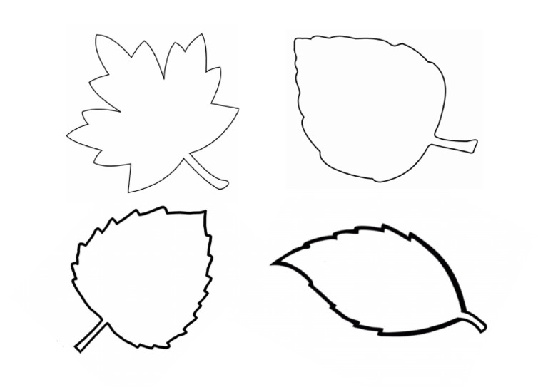 Leaves | PDF
