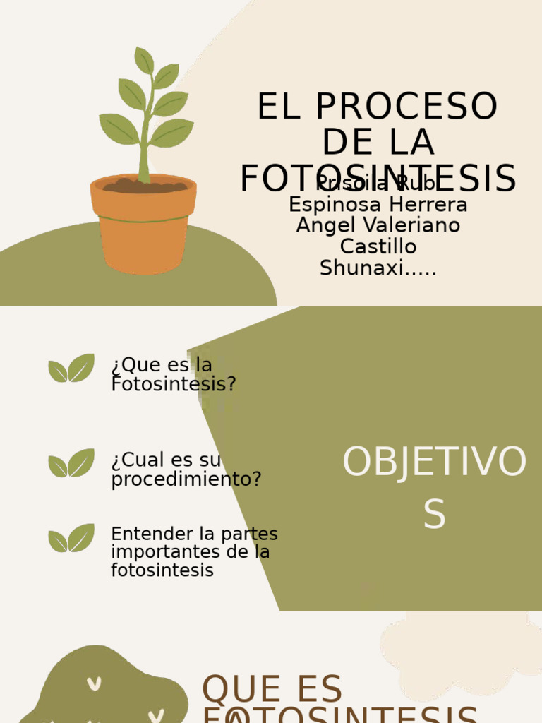 Photosynthesis Science Education Presentation in Green and Beige Simple ...