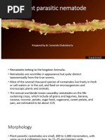 Nematode Species and Common Names List | PDF | Parasites | Plants