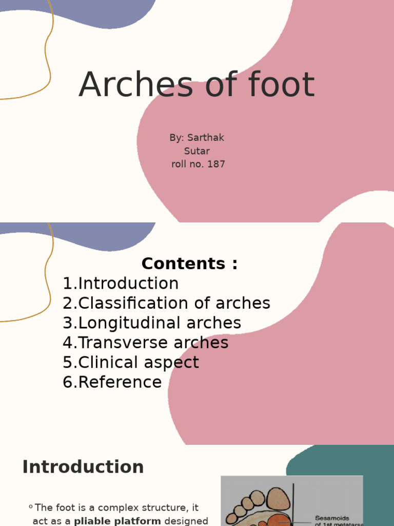 ARCHES OF THE FOOT - PPTX - 20250113 - 224301 - 0000 | PDF | Foot ...