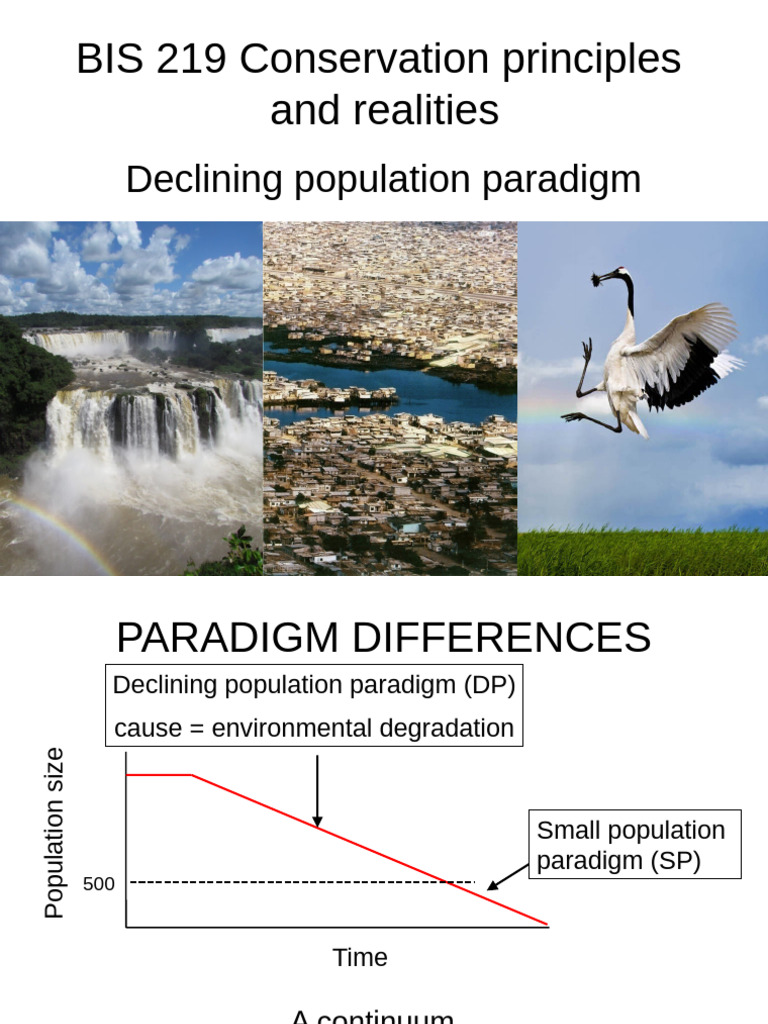 Understanding Declining Population Paradigm | PDF | Ecology | Nature