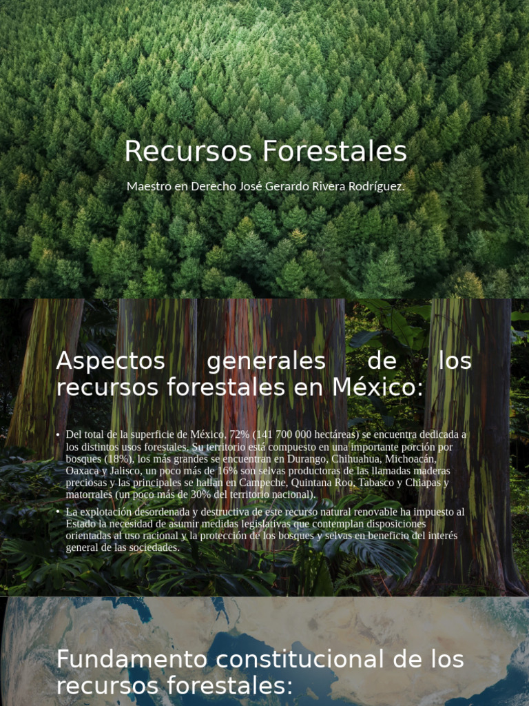 4.7 Recursos Forestales | PDF | Los bosques | Sustentabilidad