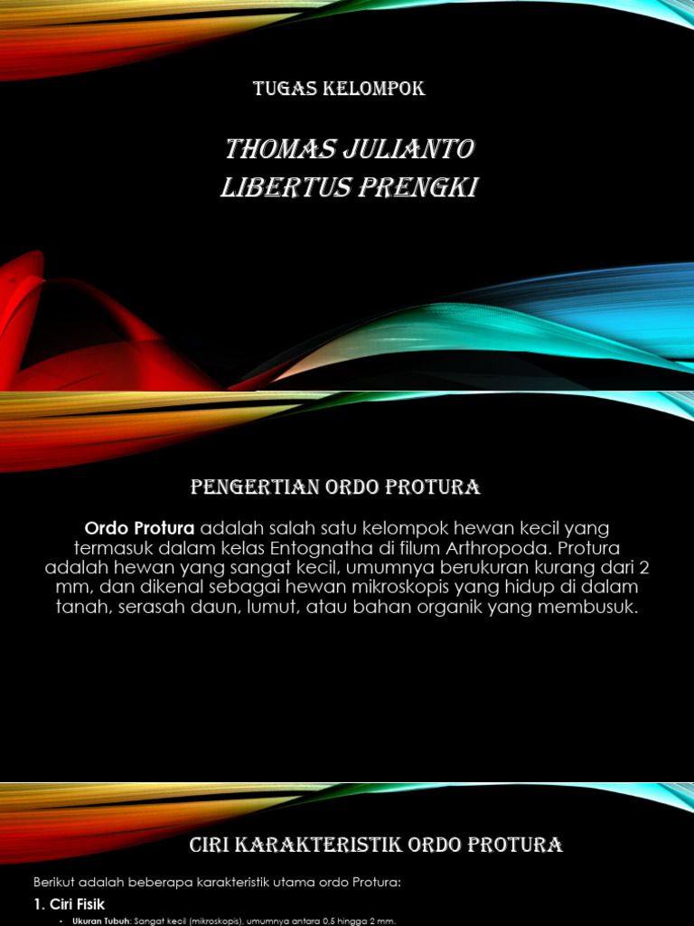 Ordo | PDF
