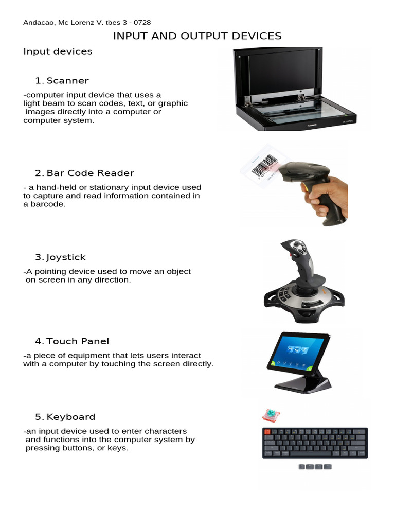 Input and Output Devices Andacao | PDF