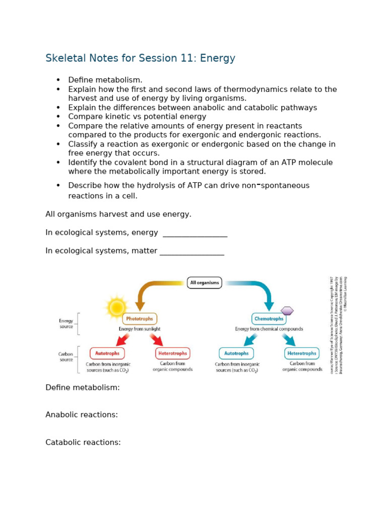 Skeletal Notes For Session 11 Energy | PDF