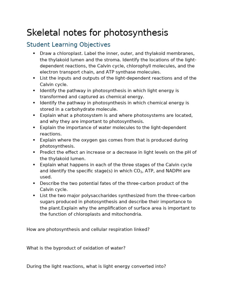 Skeletal Notes For Sessions 17 and 18 Photosynthesis | PDF ...