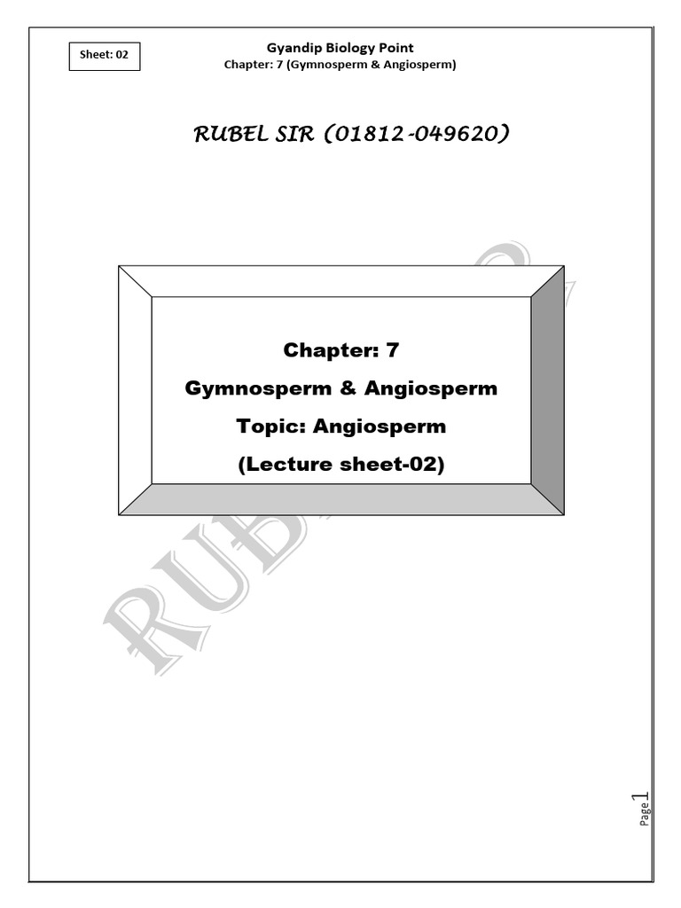 Angio Sperm | PDF | Fruit | Flowers