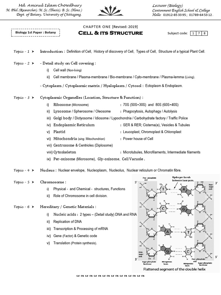 B 1 Cell Its Structure 2020 Converted | PDF | Ribosome | Endoplasmic ...