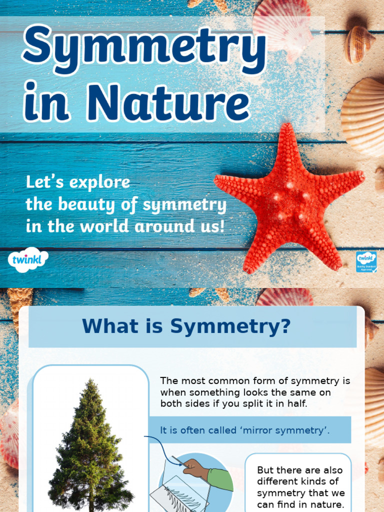 Bilateral Symmetry in Nature Guide | PDF | Artistic Techniques | Geometry